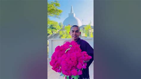 වැලන්ටයින් එකට මෙච්චර මල් කාටද 🙈🥰මල් නංගි 👉💪 අවු 70 වැඩි යුවළවල් හන්තාන ආදර කථාව අද සදගිරි