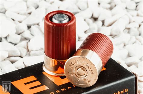 16 Gauge Vs 12 Gauge Shotgun Shell Comparison By Experts