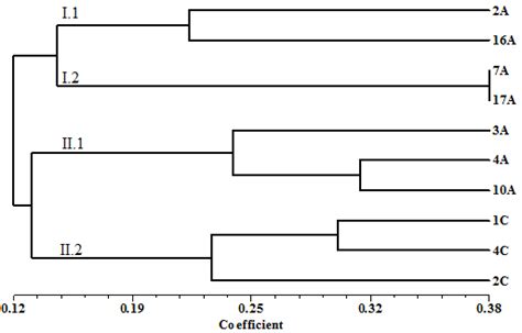 Dendrogram Of Genetic Similarity Among The 10 Isolates Of F Oxysporum