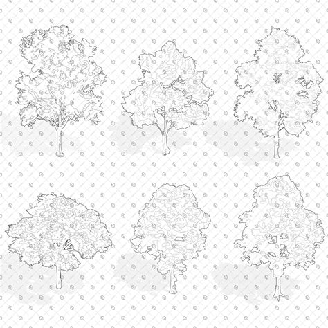 Axonometric Cad Trees With Shadows Toffu Co