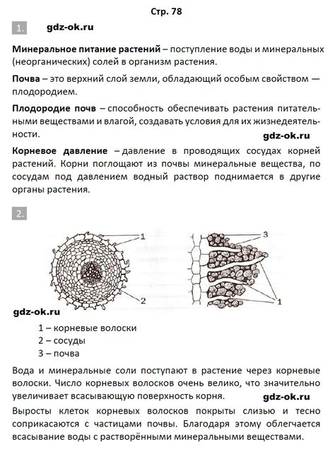 Страница 78 - ГДЗ по биологии 6 класс Пасечник (Линия Жизни) рабочая ...