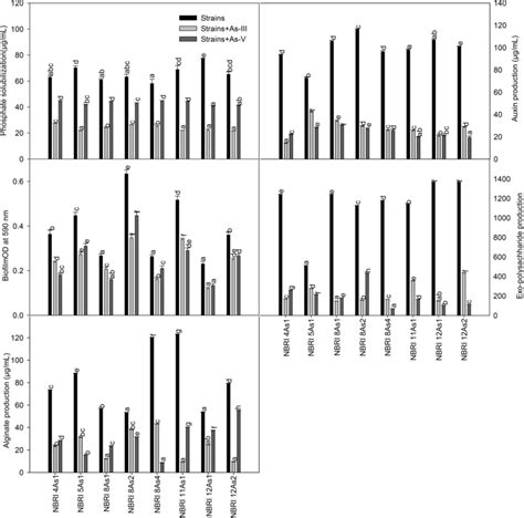 Plant Growth Promoting Pgp Attributes Of Pgpr Under Different Arsenic Download Scientific