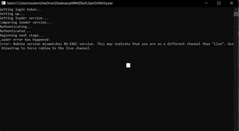how to fix this ro exec error i tried it on bloxstrap and original
