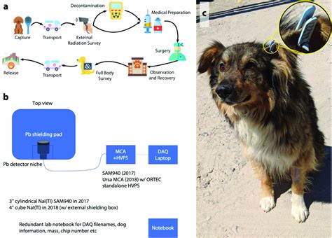 Methods And Photos A Diagram Of Experimental Approach B Diagram Download Scientific
