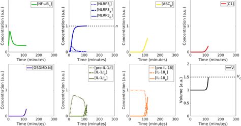 numerical simulations results of the system of odes 2 31 with