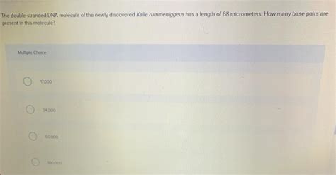 Solved The Double Stranded DNA Molecule Of The Newly Chegg