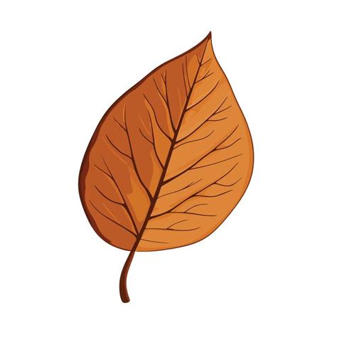 Brown Leaf Vector Art Icons And Graphics For Free Download