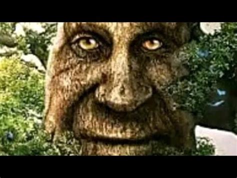 МУДРЫЙ ДУБ АТАКУЕТ! - YouTube