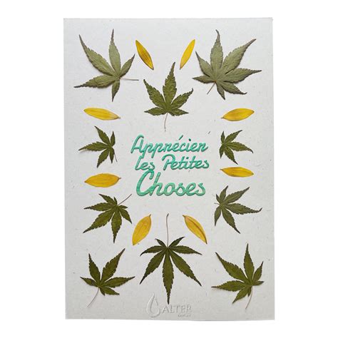 Herbier Fleurs Séchées Beige érable Tournesol Amour FidÈle