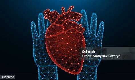 손과 인간의 심장 낮은 폴리 디자인 다각형 스타일의 인간 기관 진한 파란색 배경에 포인트와 선으로 만든 심장 와이어 프레임 벡터 일러스트 가리키기에 대한 스톡 벡터 아트 및