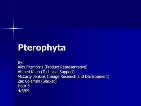 Ppt Pterophyta Powerpoint Presentation Free Download Id1472612