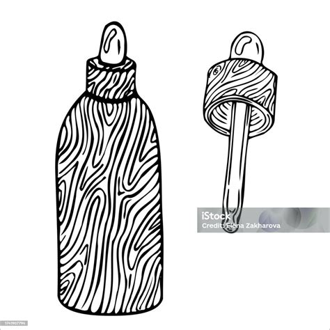 식물성 기름 올리브 해바라기 유장 벡터 그래픽 음식과 요리 천연 화장품 요리 음식 또는 천연 화장품 제품 포장 메뉴를 위한