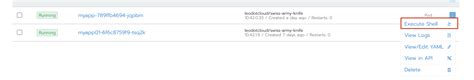 kubectl exec fails but execute shell via ui works with a custom