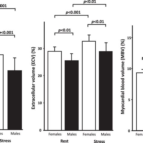 Examples Of Myocardial Perfusion Myocardial Blood Volume And
