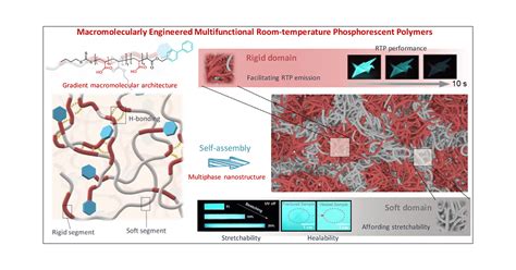 Macromolecular Engineered Multifunctional Room Temperature Phosphorescent Polymers Through