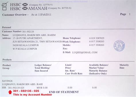 Hsbc Bank Statement Template