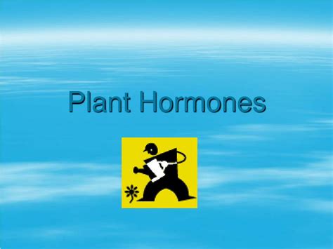 Ppt Plant Hormones Powerpoint Presentation Free Download Id1817884