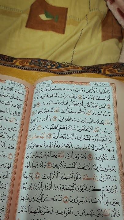 أموات غير أحياء🖤 Youtube