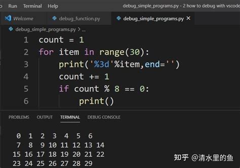 【新手向】python X Vs Code 简单debug与调试 知乎 【新手向】python X Vs Code 简单debug与调试 知乎