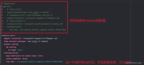 【若依管理系统】如何将 Mybatis 升级为 Mybatis Plus若依升级mybatisplus Csdn博客