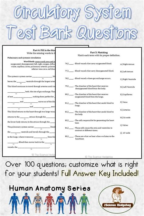 Circulatory System Test Questions Test Questions Science Lessons High School High School Science