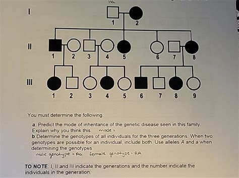 Solved You Must Determine The Followinga ﻿predict The Mode