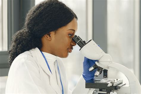 What Is Pgt Testing A Guide To Chromosome Screening In Ivf Birdandbe