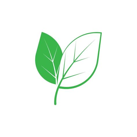 Premium Vector Leafs Logo Icon Vector Illustration Template Design
