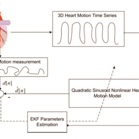 c heart motion model following algorithm results in z axis using the