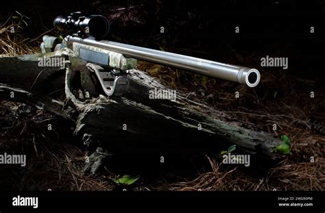 Dark Forest Floor With A Brightly Lit 50 Caliber Inline Muzzleloader