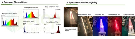 Understanding The Role Of Photoperiod In Plant Growth Atop Lighting