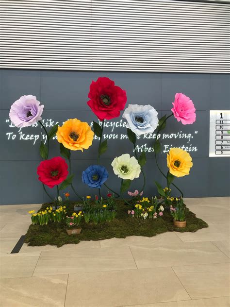 Teamelegancedecor Dana Anton