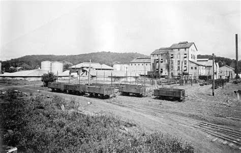 Coal Importer Fueling Energy Demands Yondun LTD Thermal Coal Steam Coal Importer Buyer