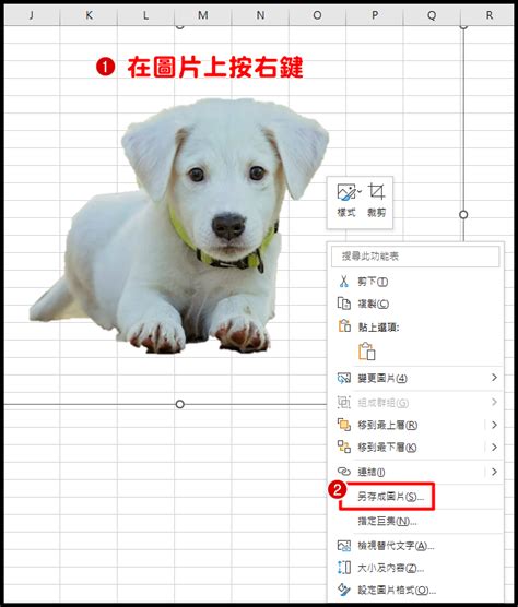 【excel去背教學】圖片快速去背、教學步驟！免安裝軟體 奇奇筆記