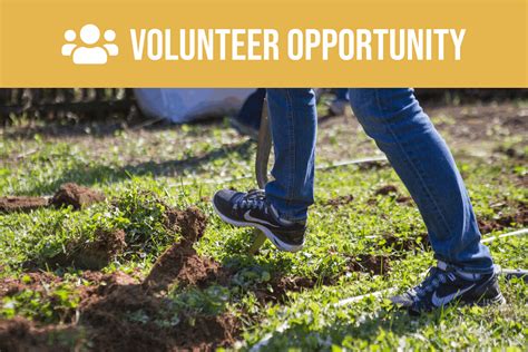 Blackwell Park Bioretention Planting Alliance For The Chesapeake Bay