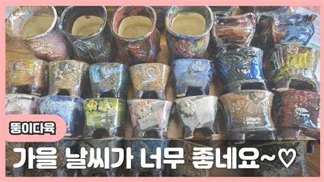221006 다육이가 예뻐지는 가을~서인경분과 함께 서인경분서인경화분다육이화분다육화분서인경수제화분분갈이화분도소매