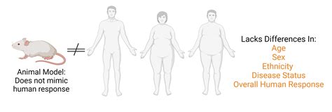 Technology Obatala Sciences