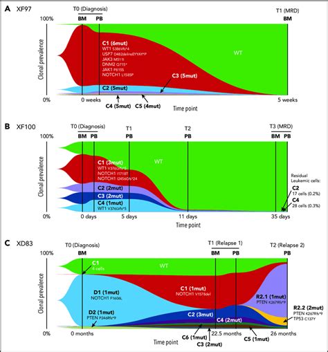 Clonal Evolution Of T All During Chemotherapy And At Relapse A C The