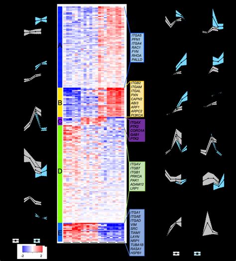 Human Nk Cell Adhesome Gene Expression Is Determined By Developmental