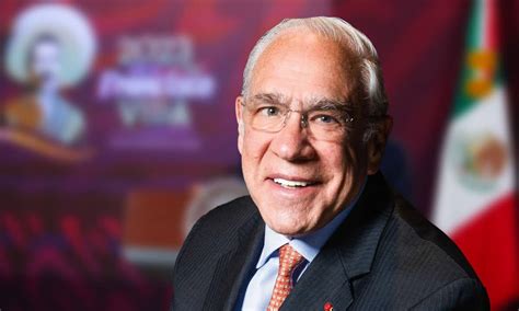 José Ángel Gurría Desiste De Sus Intenciones Presidenciales