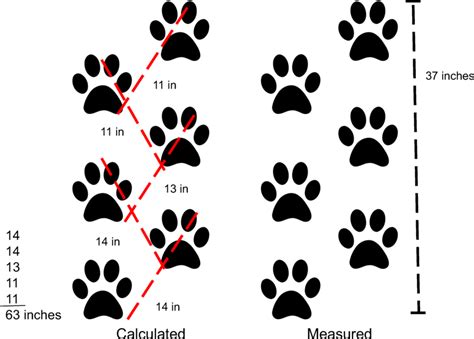 Reconstruction Of A Whiteboard Diagram Representing The Mismatch In