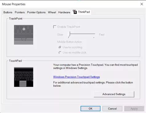 Help Request Trackpoint Working But Its Settings Pane Is Greyed Out
