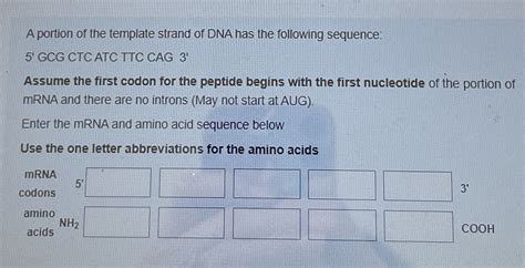 A Portion Of The Template Strand Of Dna Has The