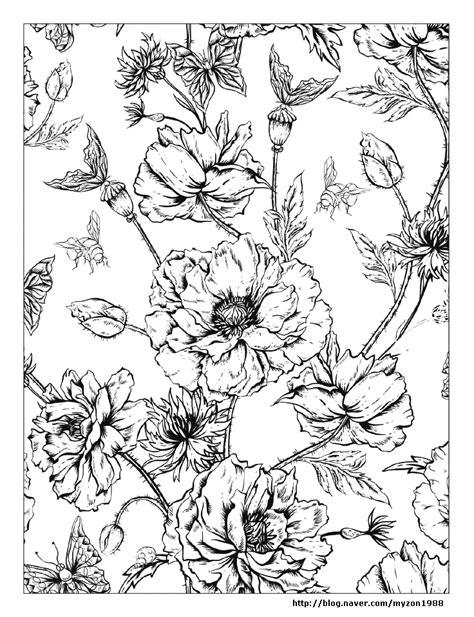 꽃그림 도안 꽃 스케치 꽃 밑그림 컬러링 도안 8작품 네이버 블로그