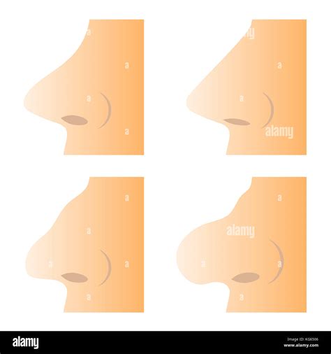 Set Of Different Human Nose Stock Photo Alamy