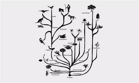 任正非：方向可以大致正确，组织必须充满活力