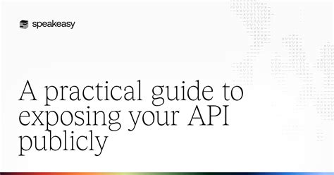 a practical guide to exposing your api publicly speakeasy