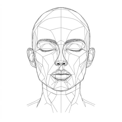 31000 Face Geometry Pictures