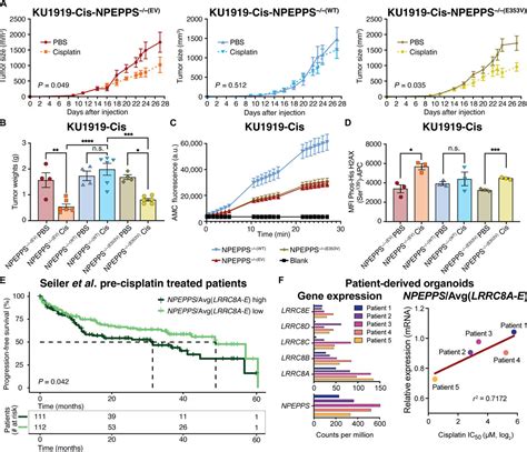Gene Inhibition Provides Potential Way To Overcome Cancer Cells Resistance To Chemotherapy Drug