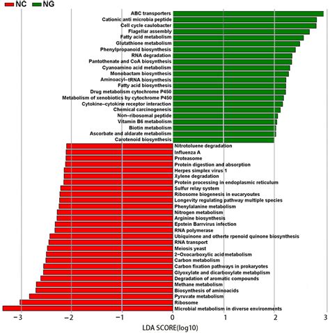 Classification Level Discriminant Analysis Lda Of The Kegg Pathway By